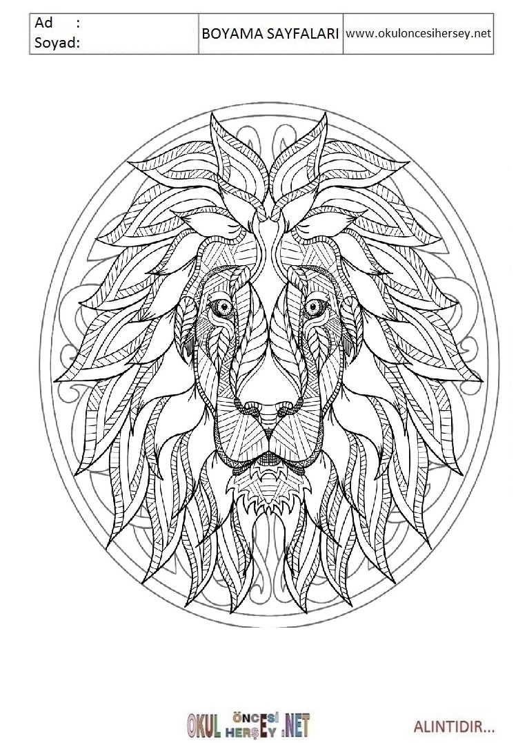 Mandala Boyama Sayfaları