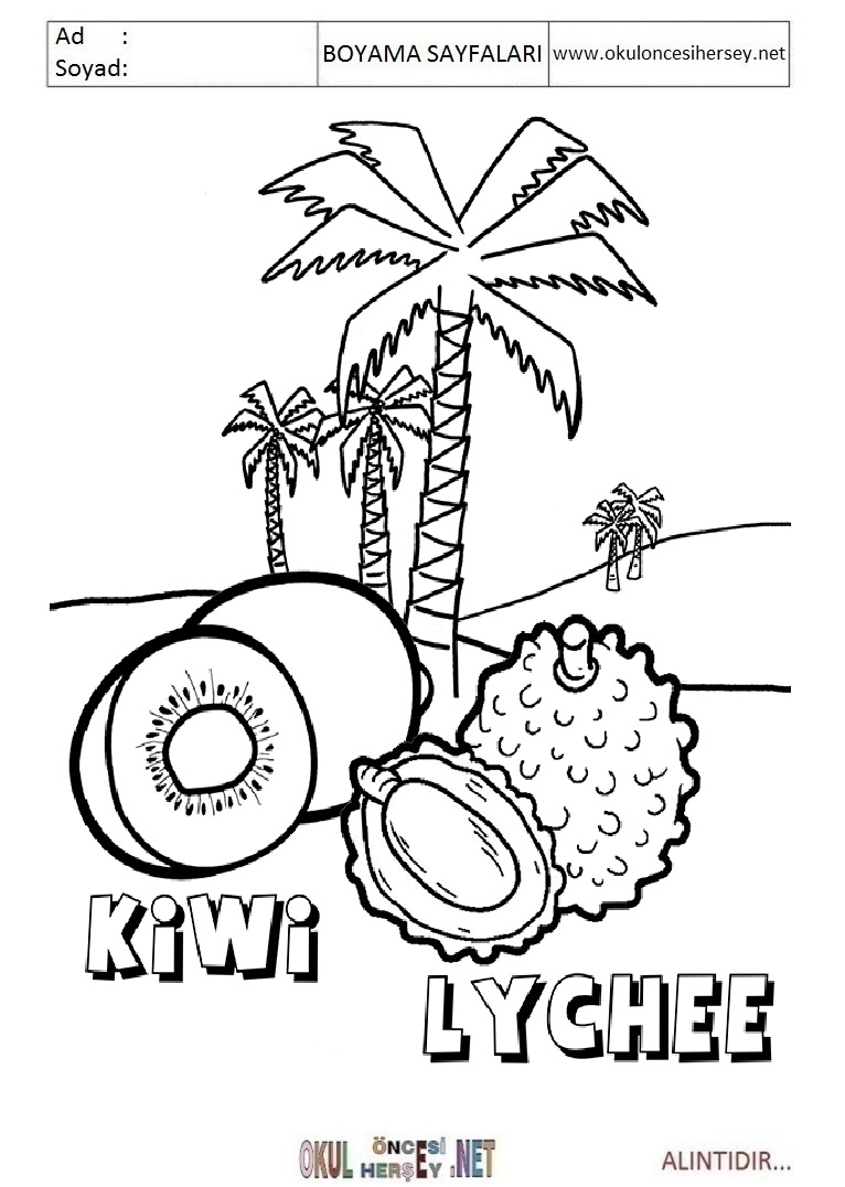 ingilizce-Meyveler Boyama Sayfaları
