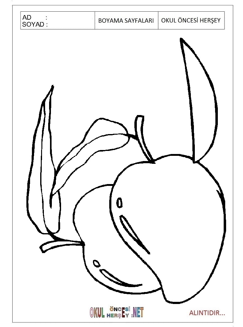 Okul Öncesi Herşey