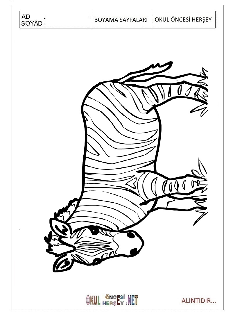 Okul Öncesi Herşey