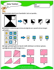 Zeka Gelişim Testleri